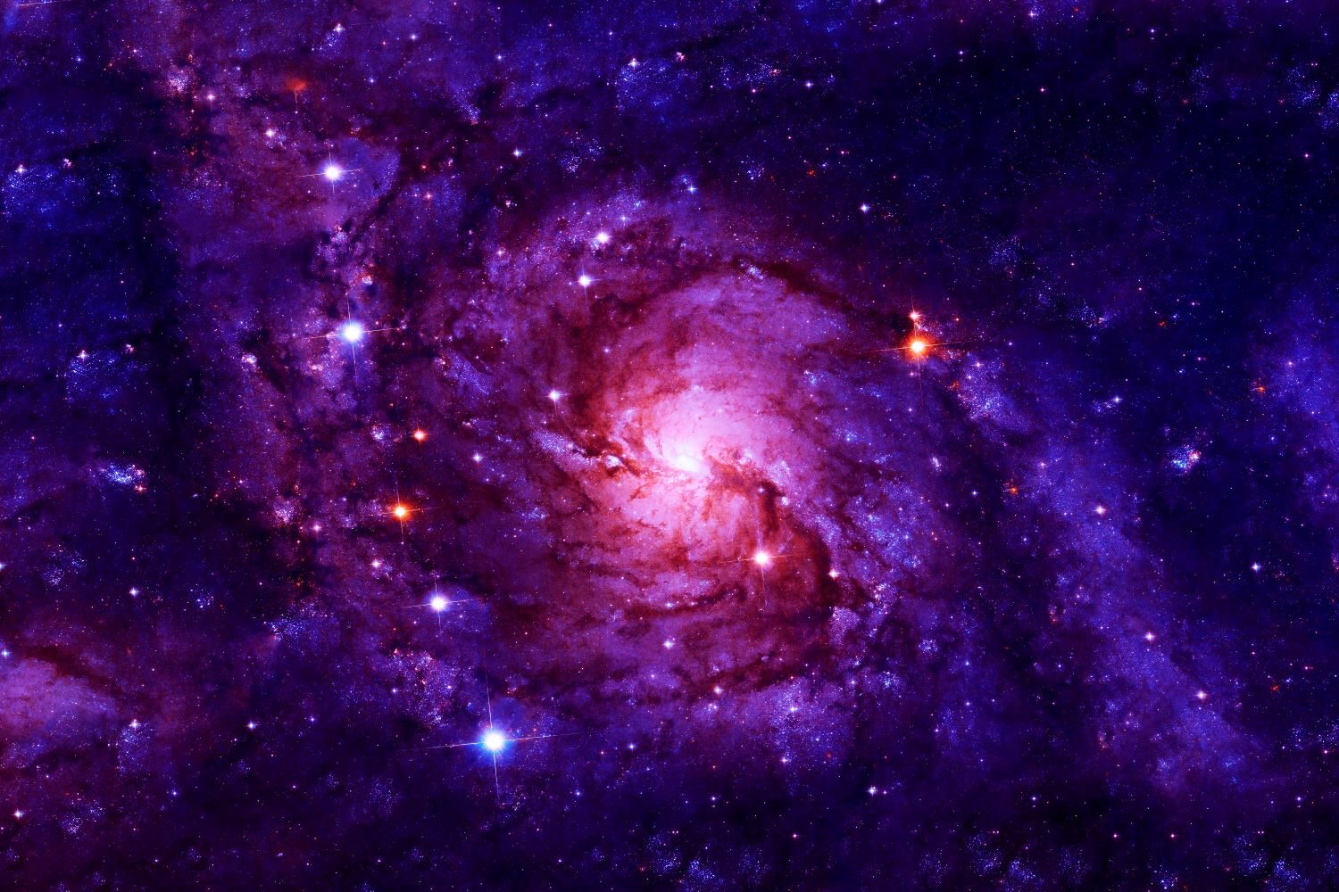 Drive to succeed pushes Jess at work and on her bike - Moore Markhams